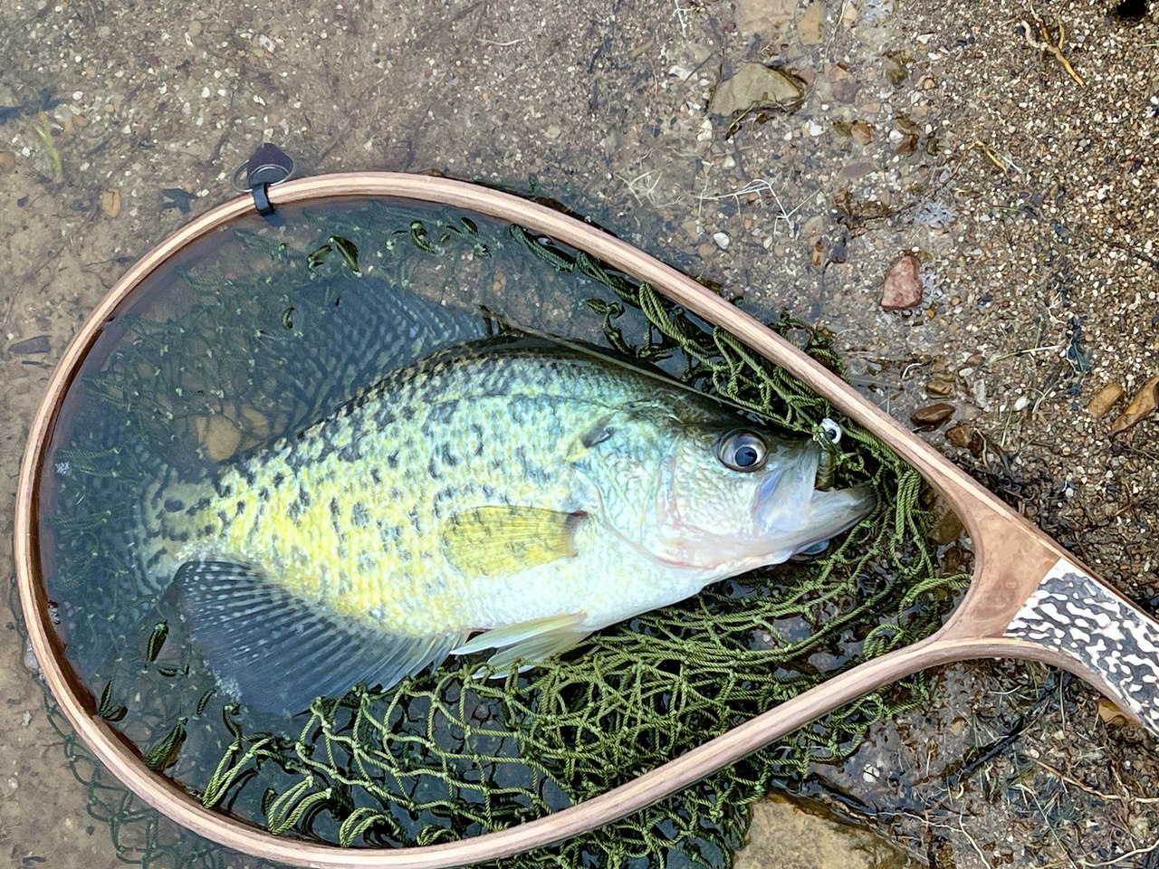 Transition Time… – Velox Seeker